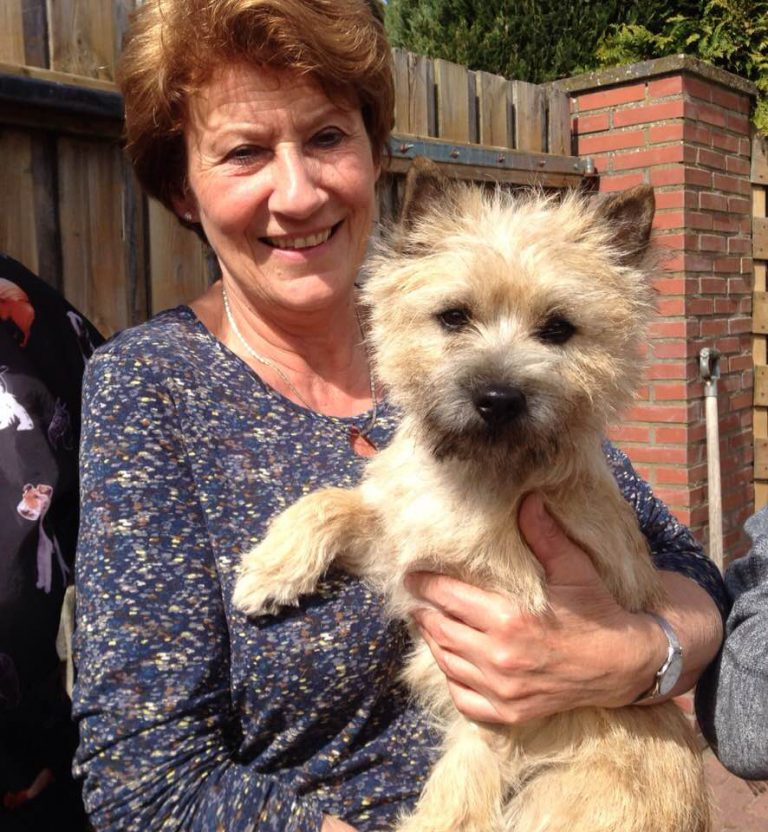 Trimmen – Workshops – Cobby Body Cairn Terriers