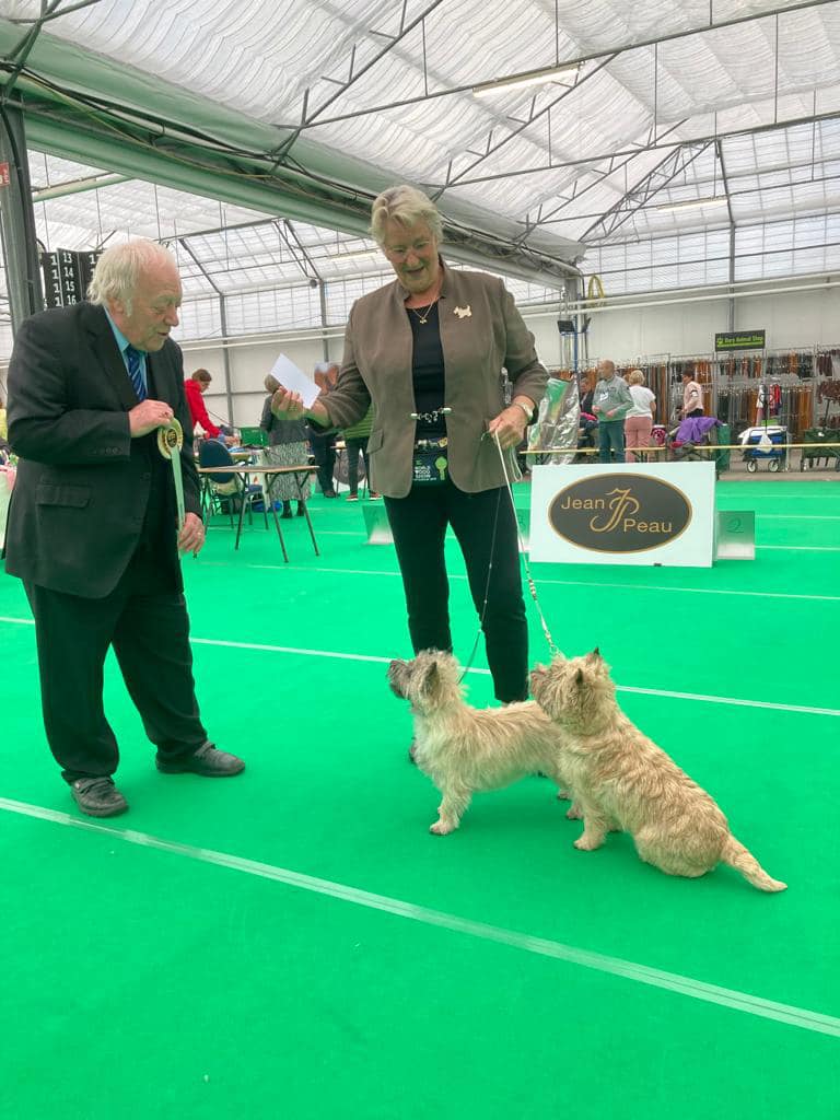 Int.Dogshow Bleiswijk 6 en 7 nov. 2021 – Cobby Body Cairn Terriers